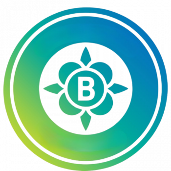 Case Study - Barefoot Coaching - Halborns